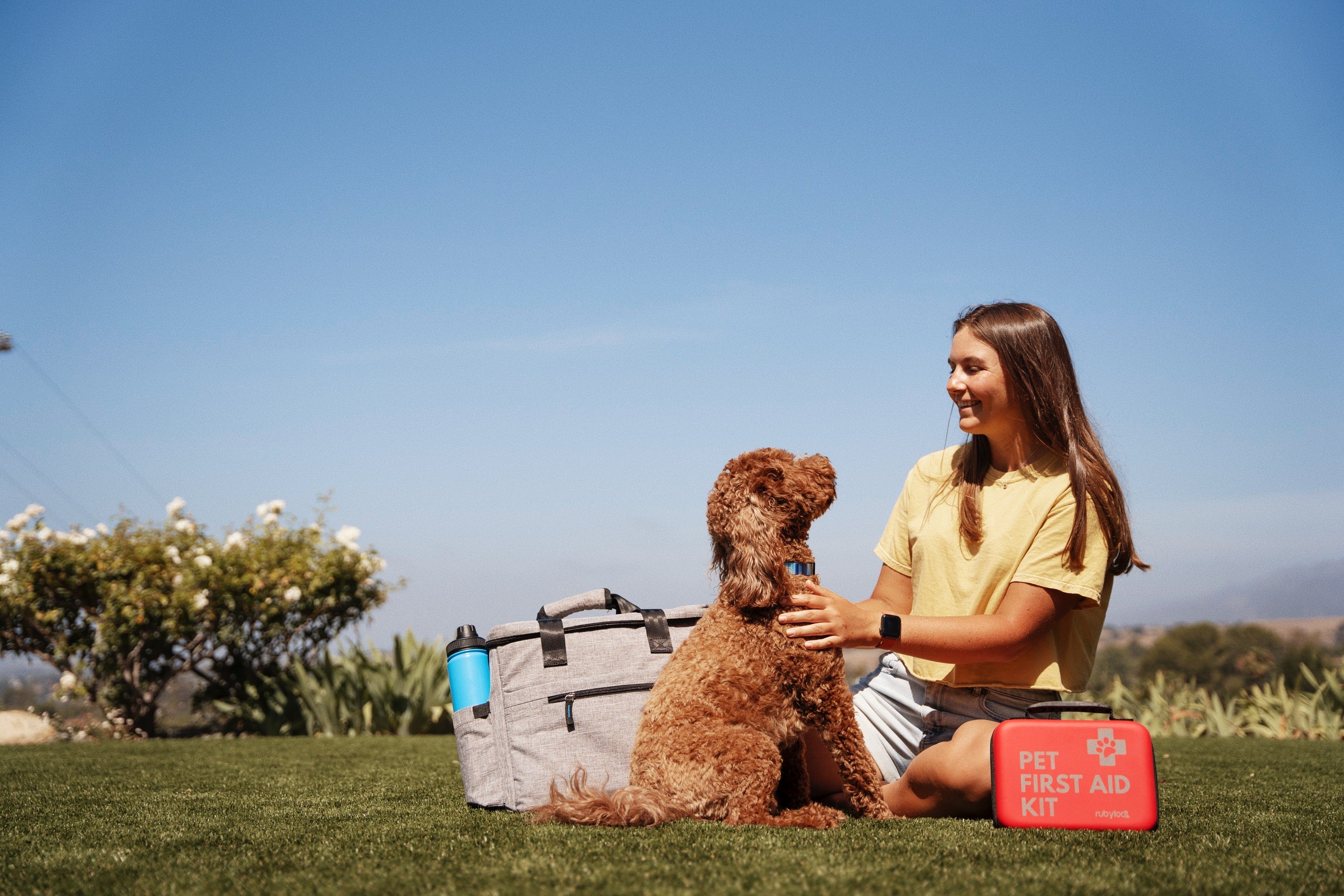 Dog First Aid Kits: Be Ready for Anything – Rubyloo