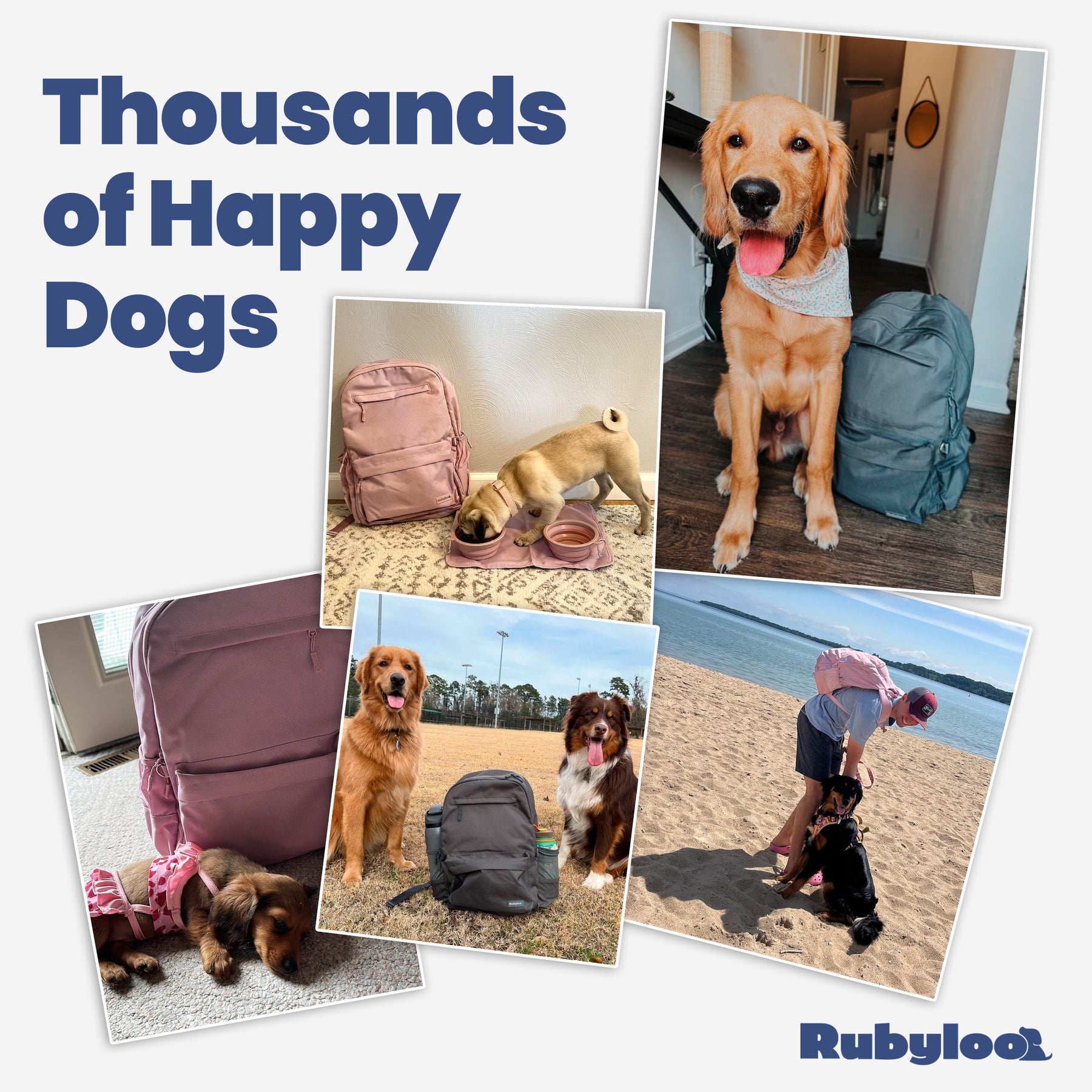 The Original Doggy Bag™ Backpack for Dog Supplies – Rubyloo